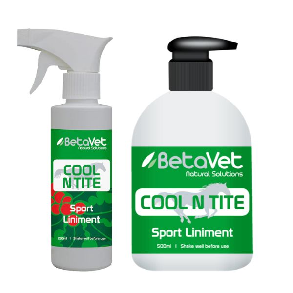 BetaVet Cool N Tite – EQ Saddlery