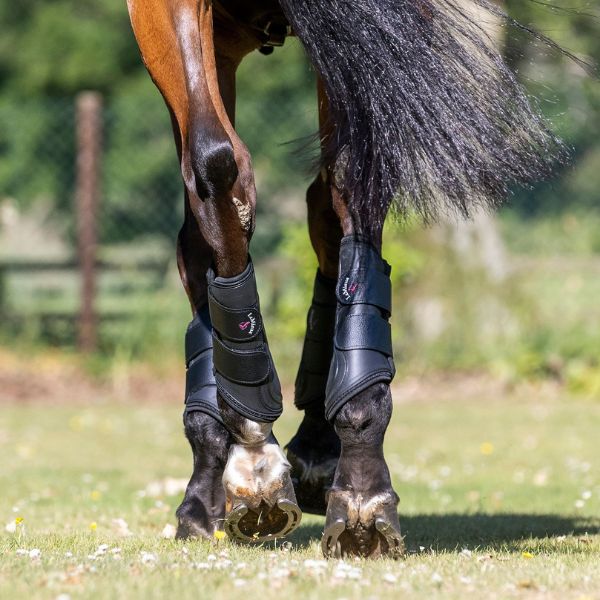 Buy LeMieux ProShell Brushing Boots $119.99