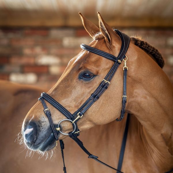 LeMieux Work Bridle – EQ Saddlery