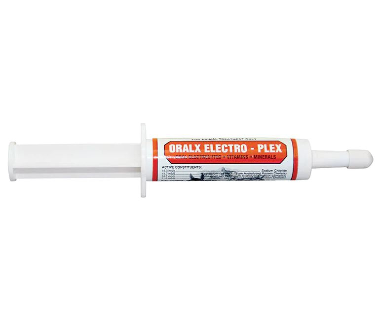 OralX Electro-Plex Paste – EQ Saddlery